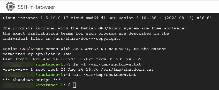 Google Cloud Spot VMs